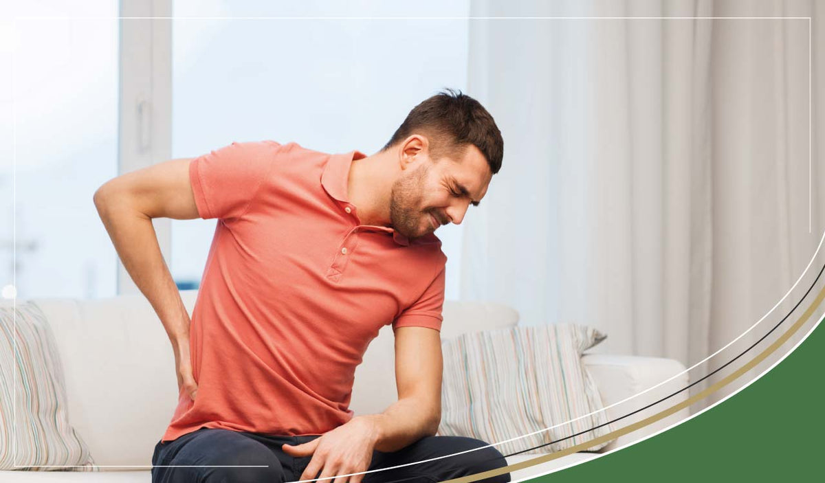 Infection rénale. Symptômes, causes, prévalence, traitement – SC Nutra ...